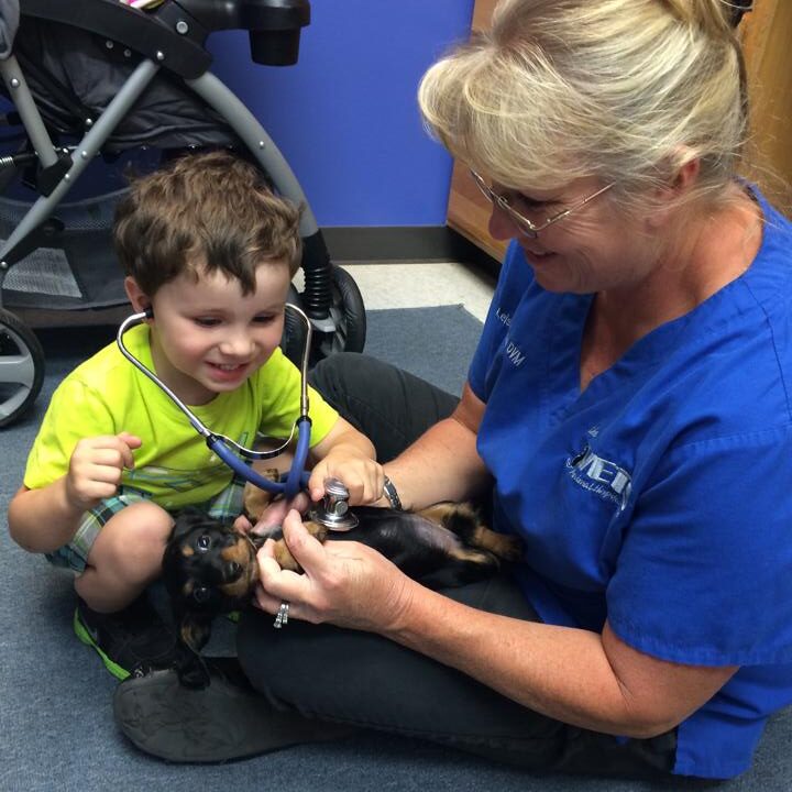 Veterinary Pet Services - The Vets Animal Hospital
