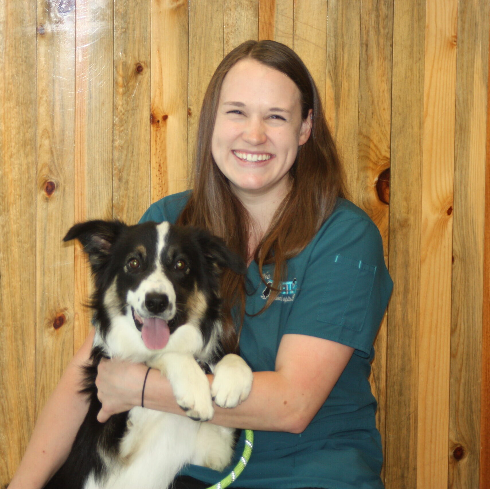 Dr. Carson Veterinary Team - The Vets Animal Hospital