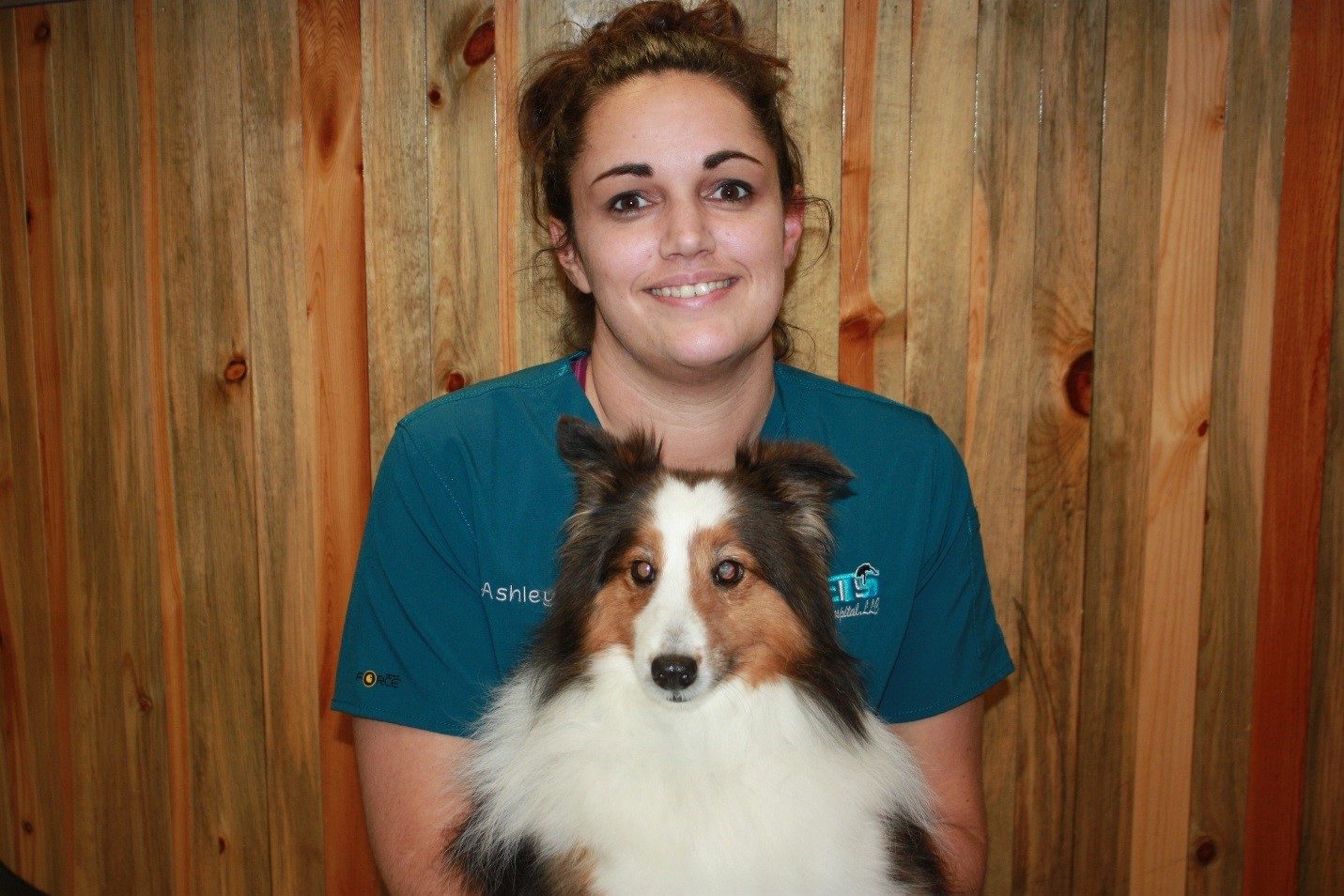 Dr. Carson Veterinary Team - The Vets Animal Hospital
