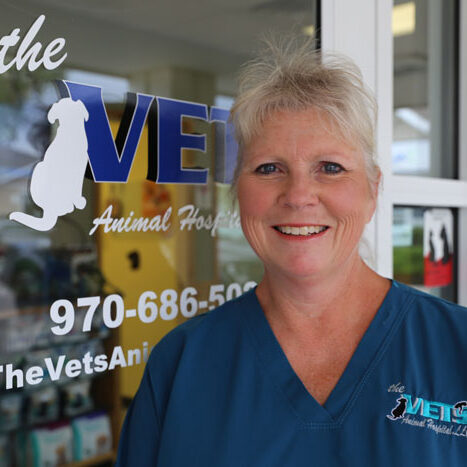 Dr. Carson Veterinary Team - The Vets Animal Hospital