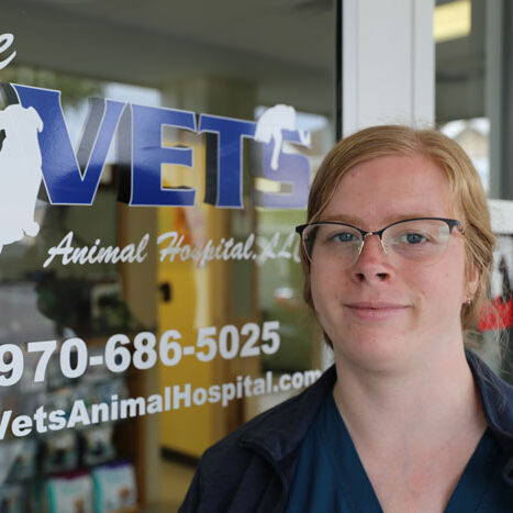 Dr. Carson Veterinary Team - The Vets Animal Hospital