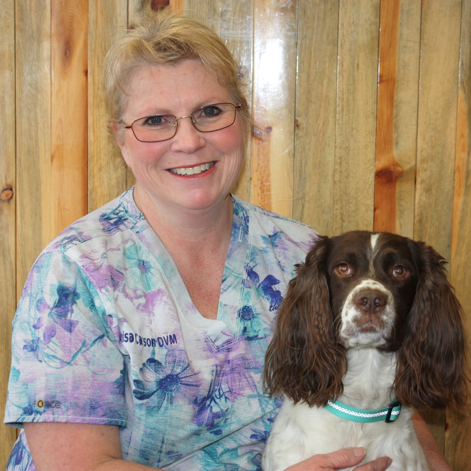 Dr. Carson Veterinary Team - The Vets Animal Hospital