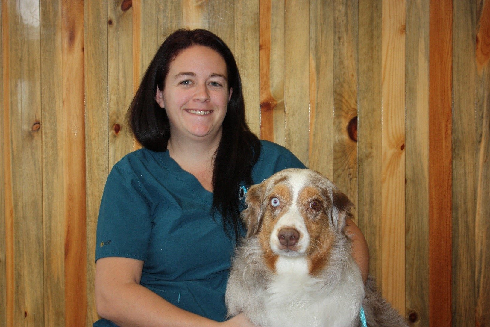 Dr. Carson Veterinary Team - The Vets Animal Hospital