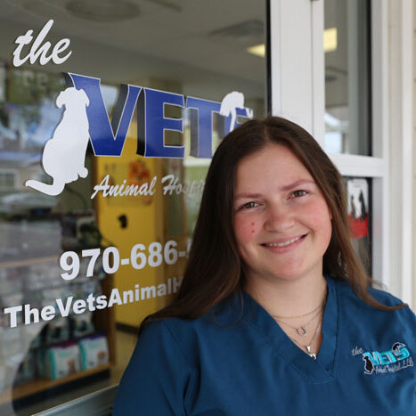 Dr. Carson Veterinary Team - The Vets Animal Hospital