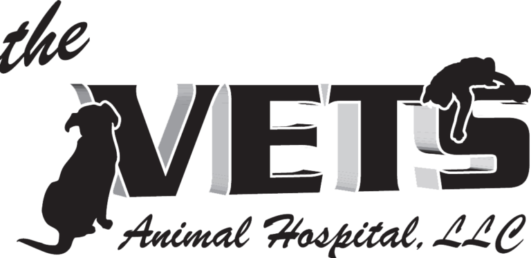 Veterinarian in Windsor - The Vets Animal Hospital