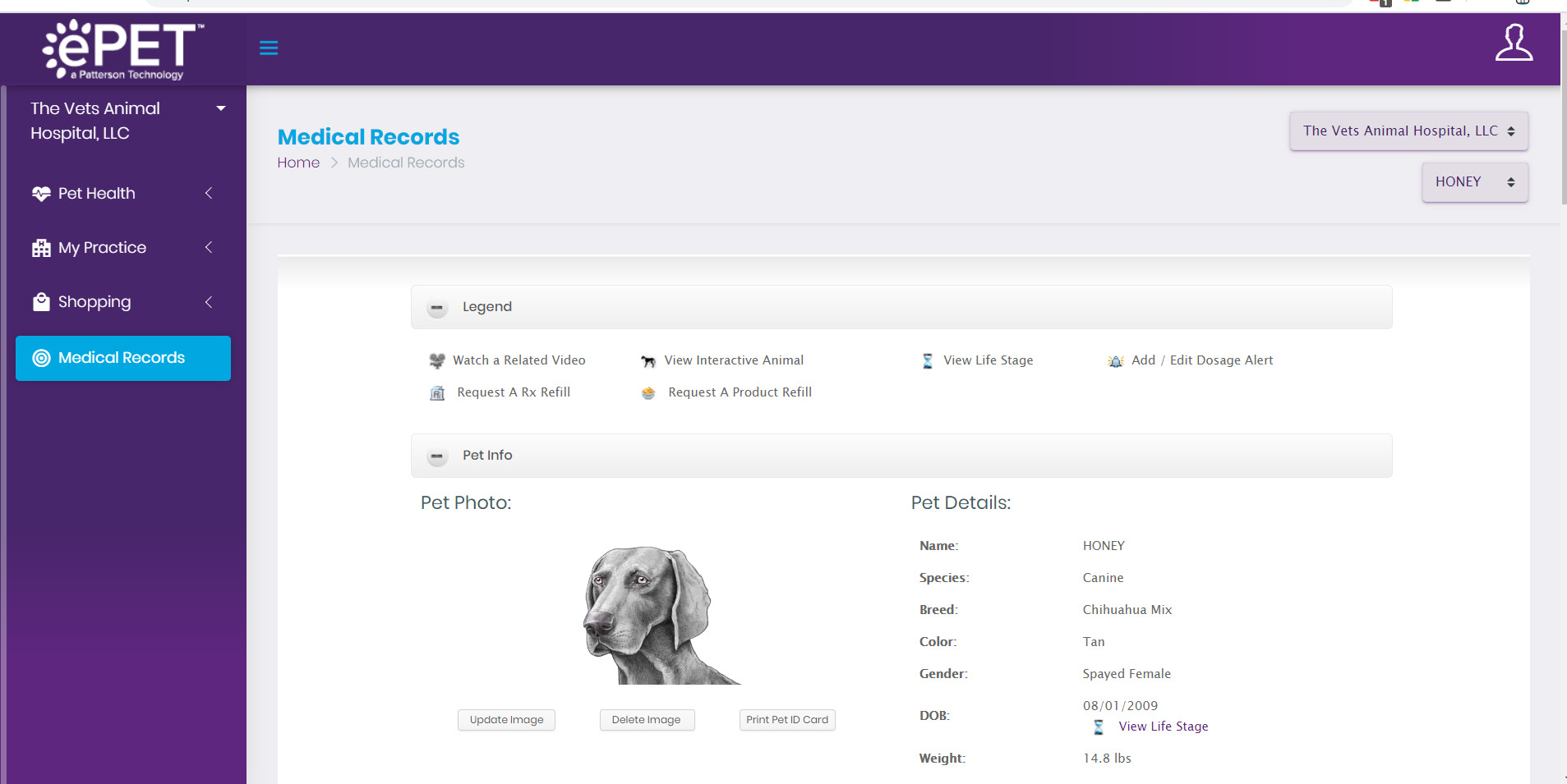 My Pet Records Online Portal - The Vets Animal Hospital