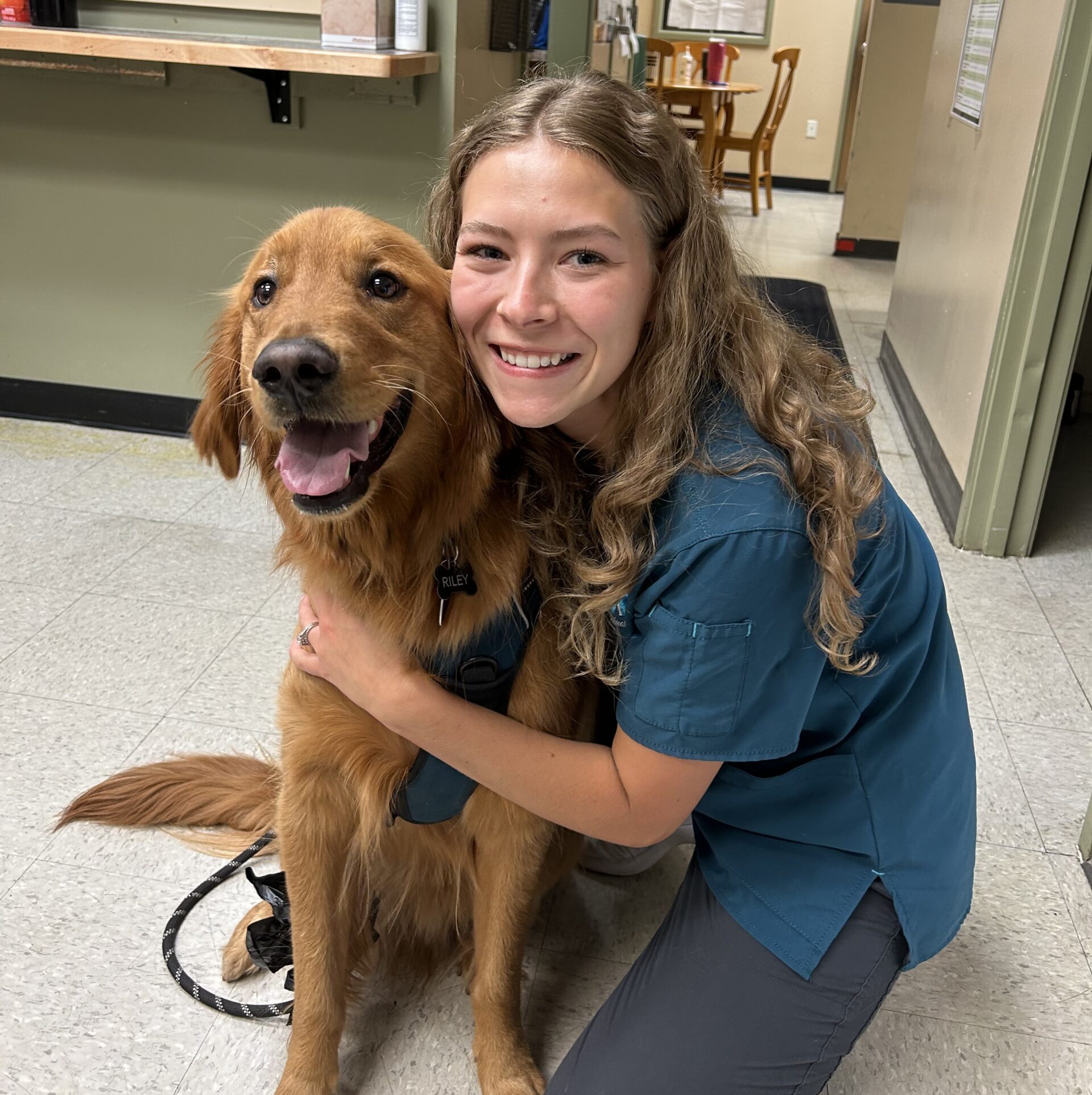 Dr. Carson Veterinary Team - The Vets Animal Hospital