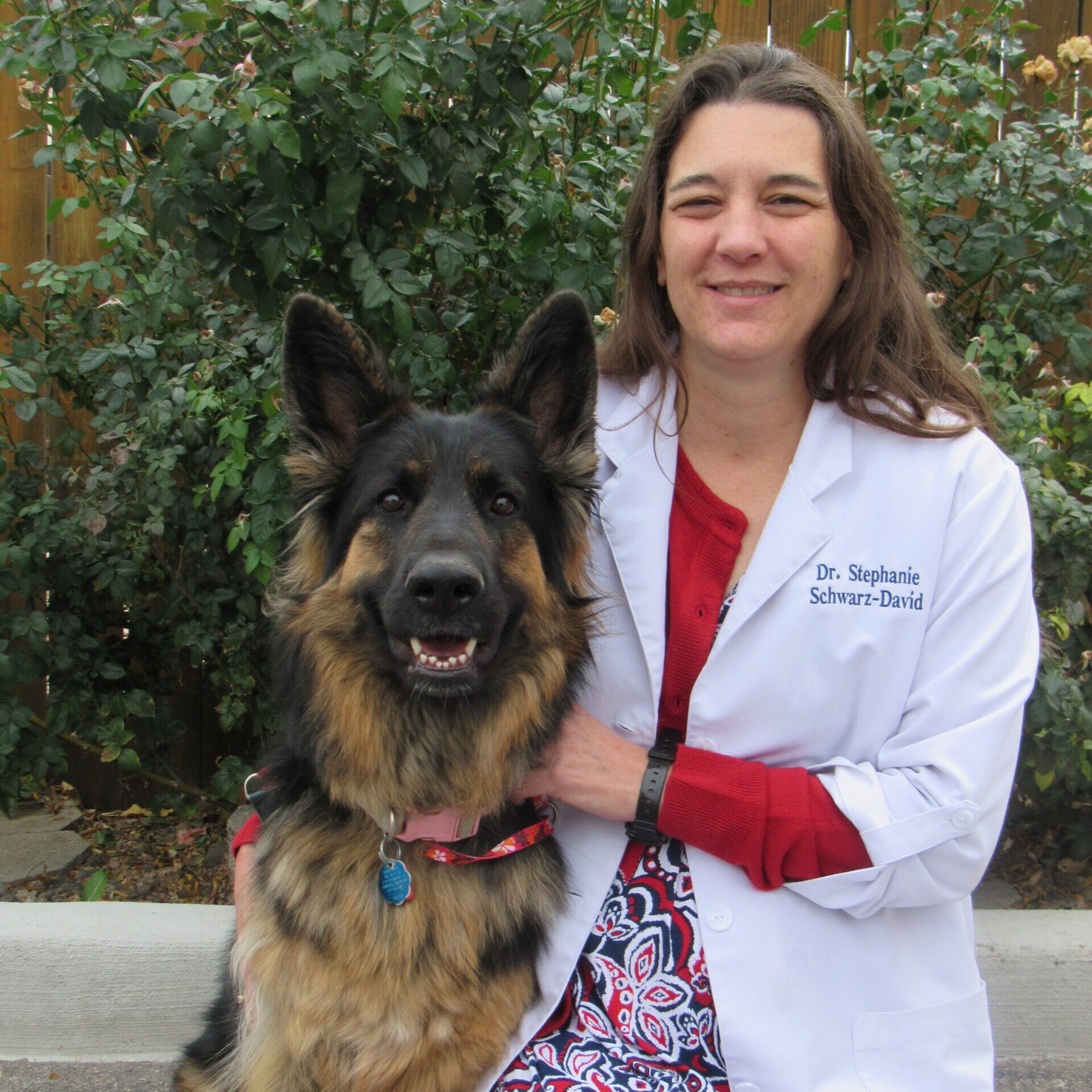 Dr. Carson Veterinary Team - The Vets Animal Hospital